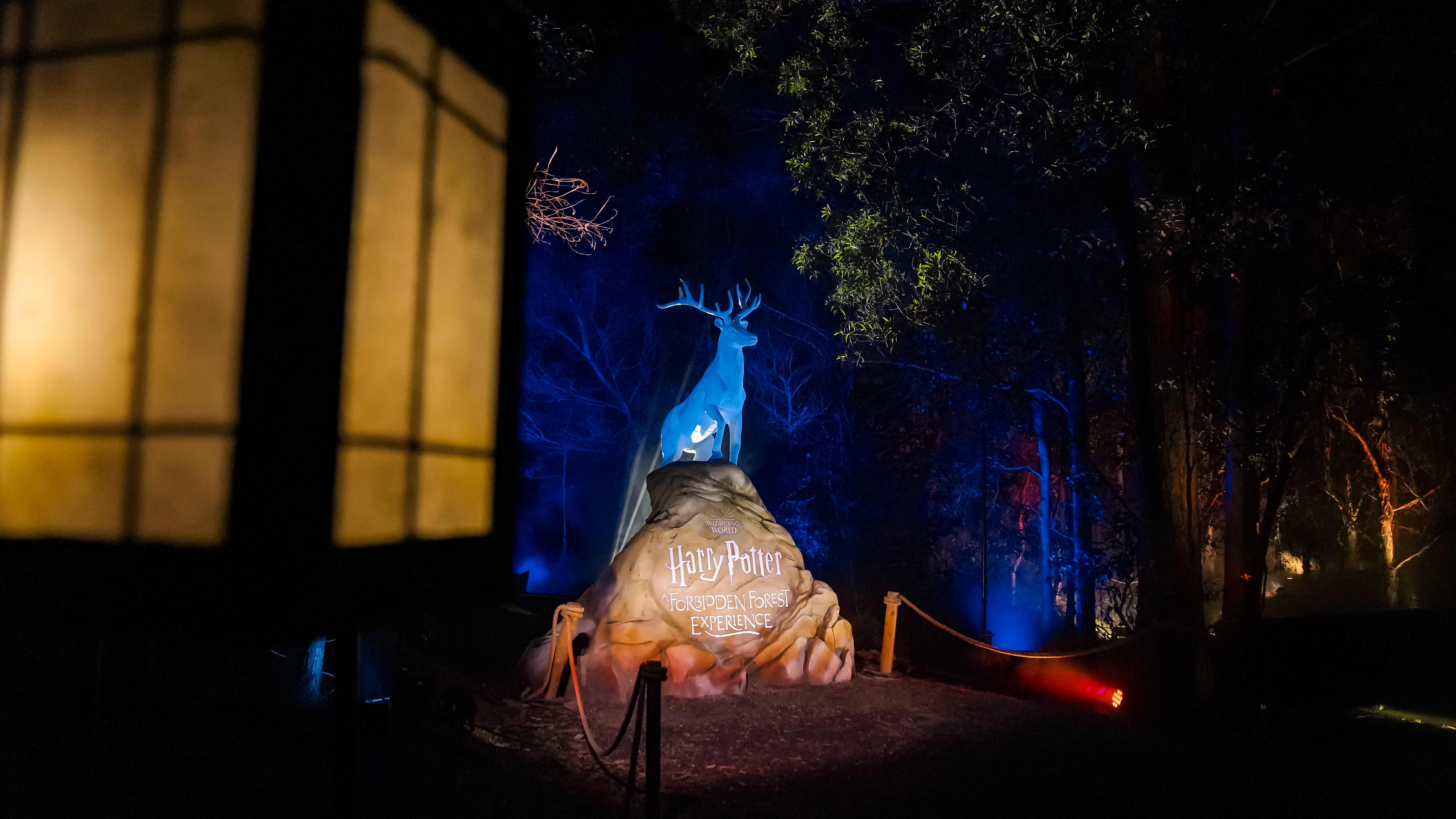 Harry Potter: A Forbidden Forest Experience || Phil Mallet – Fever ...