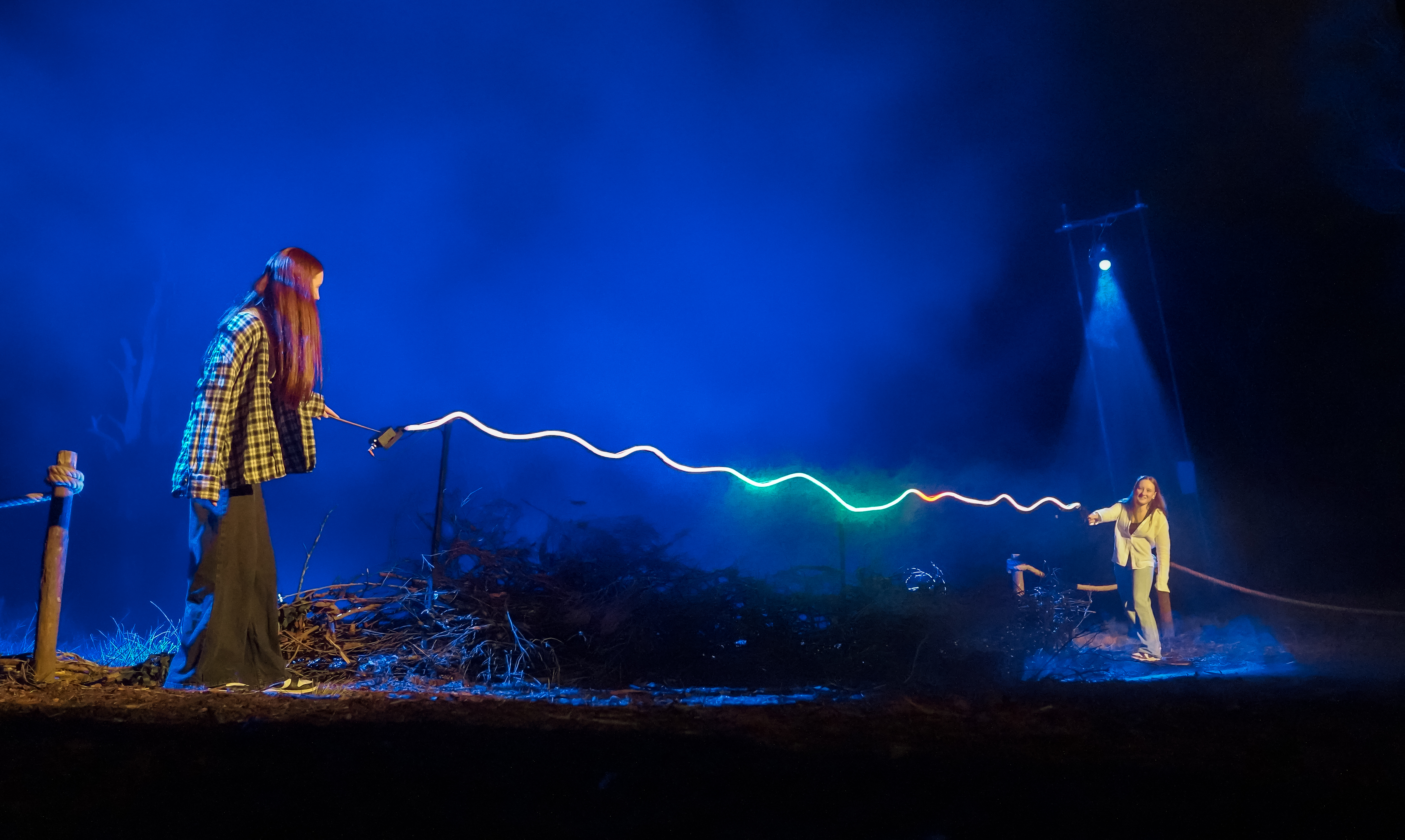 Harry Potter: A Forbidden Forest Experience || Phil Mallet – Fever ...